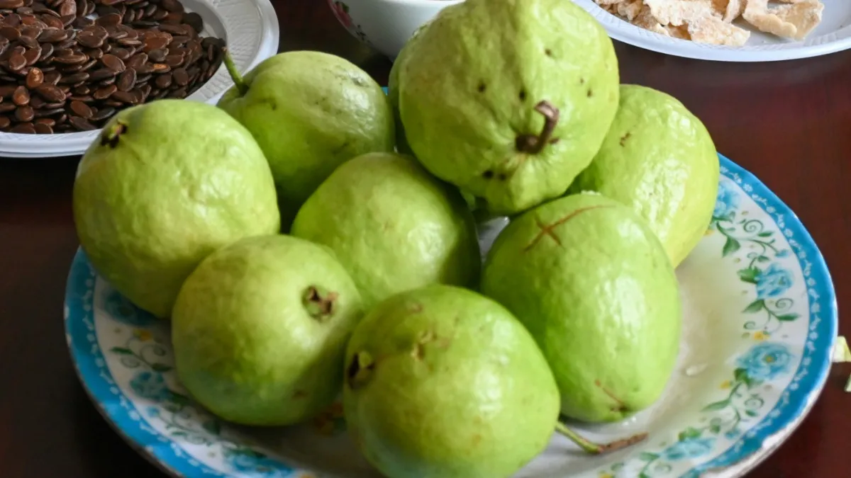 Benefits Of Eating Guava: भुने हुए अमरूद में है पोषक तत्वों से का खजाना ...